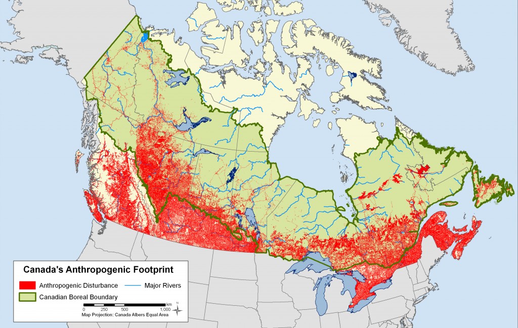 International Boreal Conservation Science Panel - Threats to the Boreal